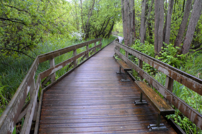 A Boating Guide to Barton Turf and Barton Broad - BroadsNet